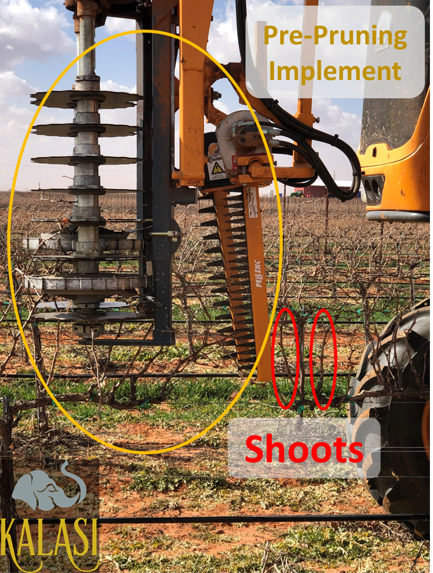 April 4, 2021: Spring Vineyard Preparation in Texas - Kalasi Cellars